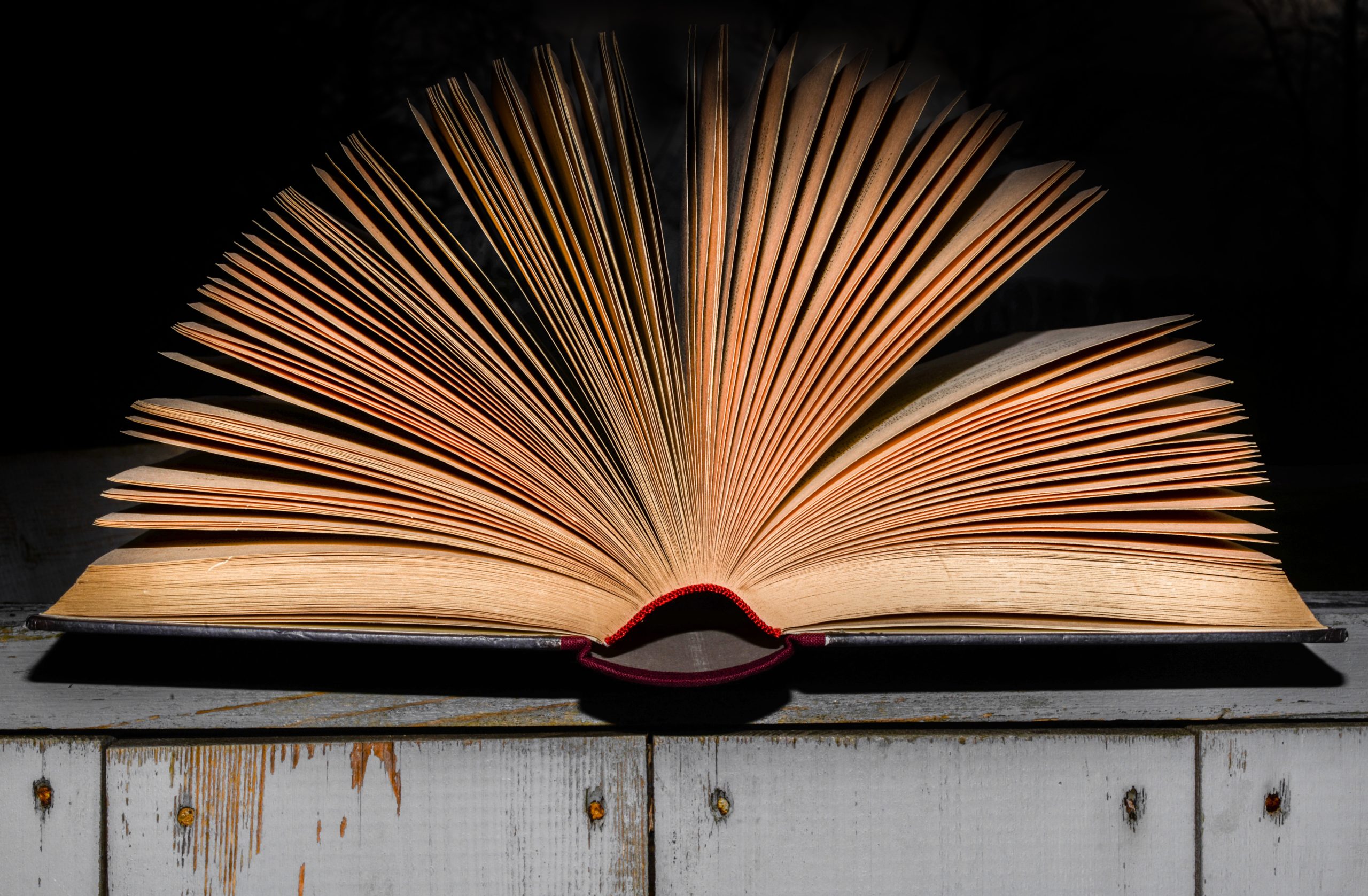 Introducing The Book of Possibility - Swallowtail Books